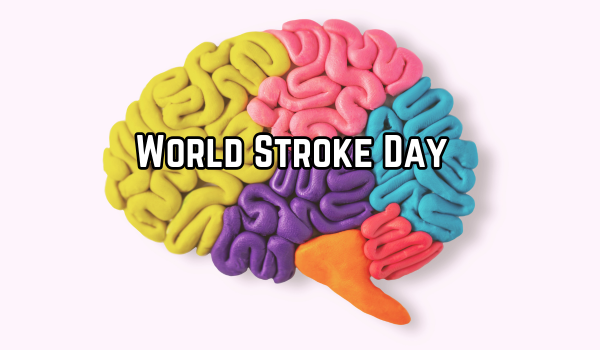I had a stroke, now what? Navigating the Road to Recovery with a Speech ...